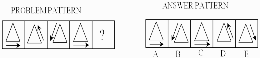 Non–Verbal Reasoning: Theory & Examples